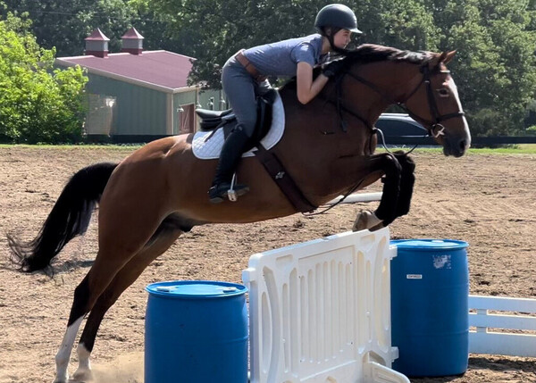 The Jack of all Trades: Crowd Control Barriers » OTW Safety